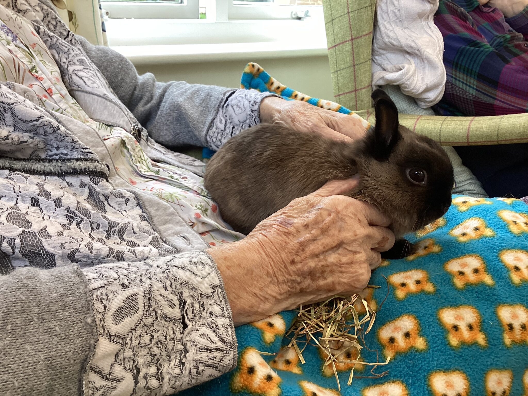 November 2025 at Wardington House | Wardington House Nursing Home